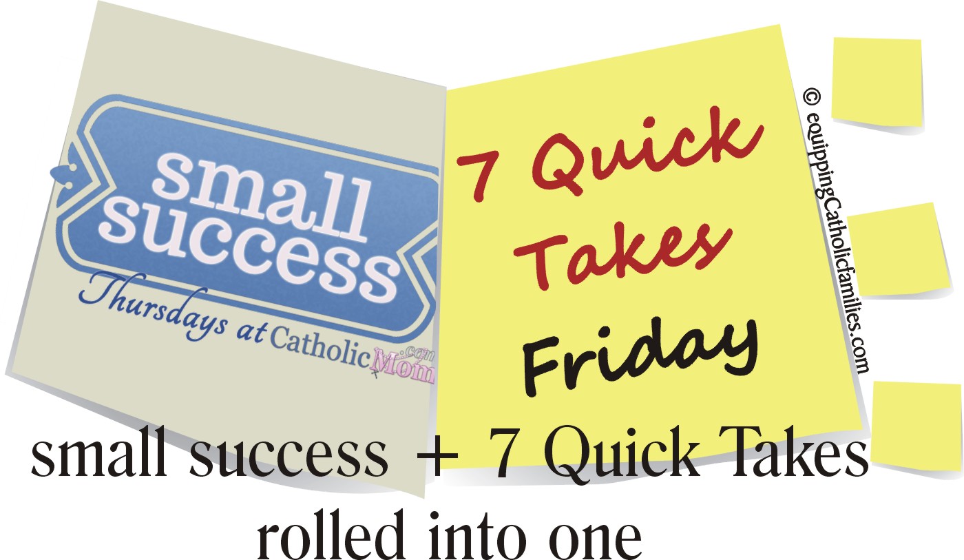 Small_Success___Quick_Takes - Equipping Catholic Families