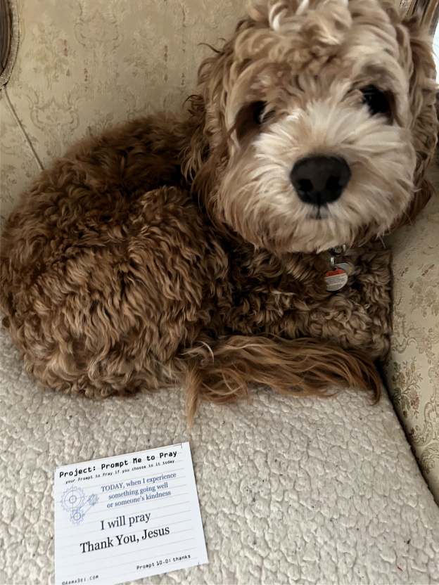 Benny thanks - Equipping Catholic Families